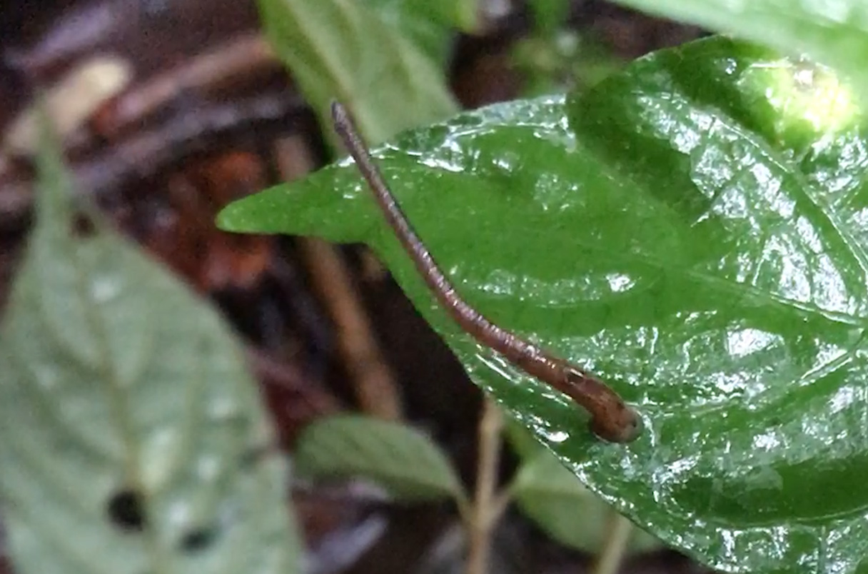 स्रोत - विज्ञान एवं टेक्नॉलॉजी फीचर्स